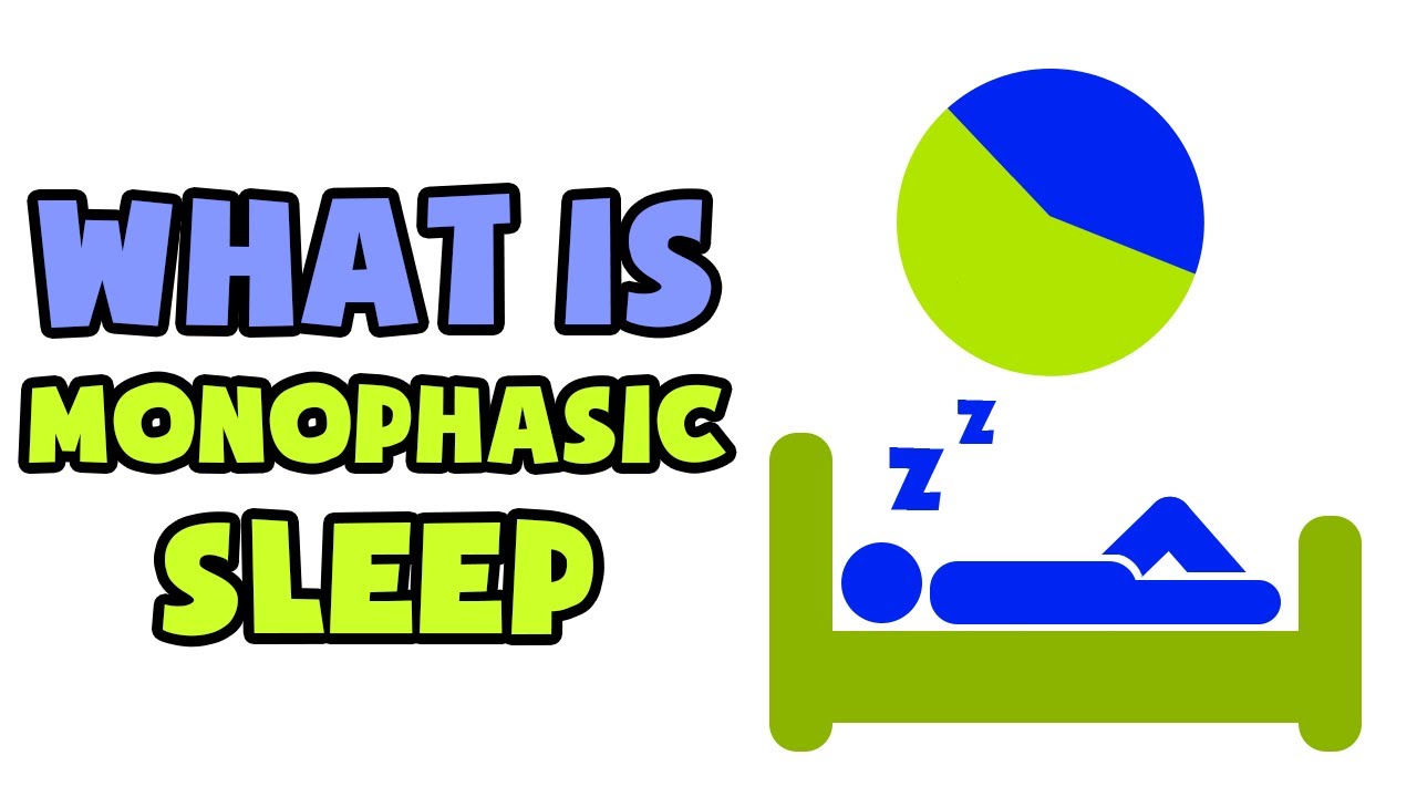 What is Monophasic Sleep | Explained in 2 min - YouTube