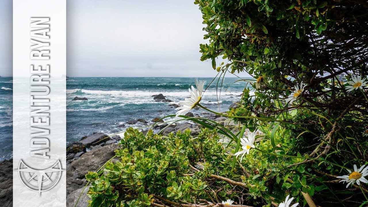 A Slice of Nature: Somewhere on the Coast of California - YouTube