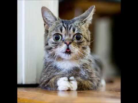 sana alo diyorum beni duymuyormusun