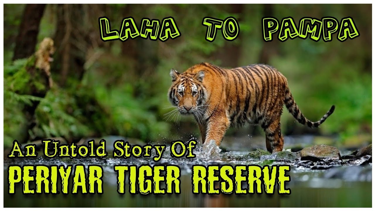 Periyar Tiger Reserve | Forest Drive | Sabarimala Forest ...