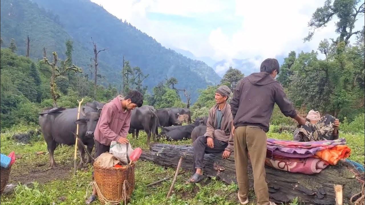 This is Himalayan Life in Our Village|Nepal|Best Peacefull and Organic ...