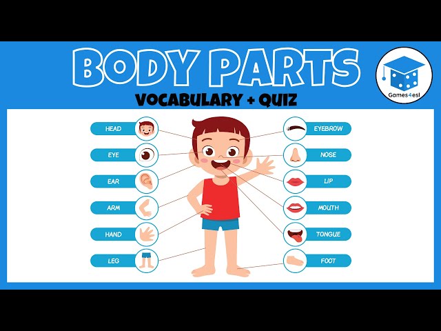 Parts Of The Body Quiz general vocab…: English ESL video lessons