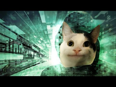 When beluga becomes a Hecker...(special) - YouTube