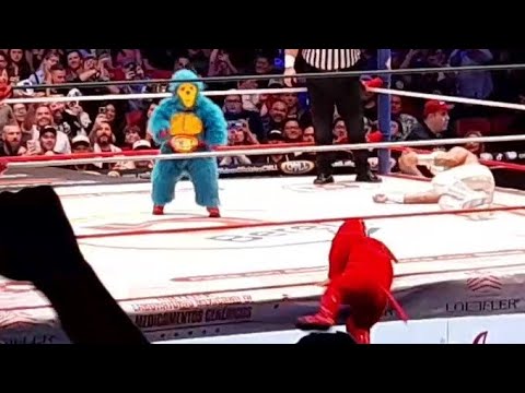 ¡SORPRESA, PERSONAJE KEMONITO REGRESA A LA ARENA MÉXICO! - YouTube