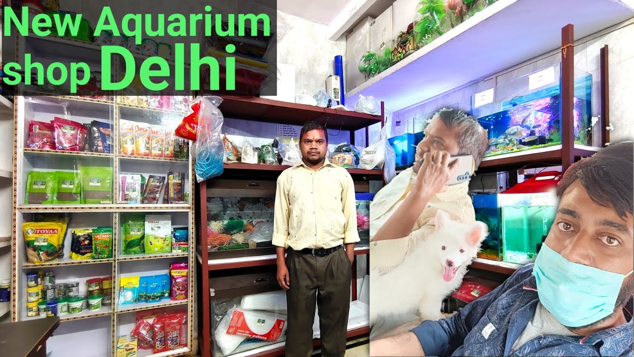 south indian aquarium fish shop Delhi - YouTube