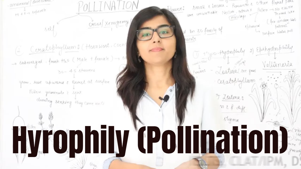 HYDROPHILY (POLLINATION) / Method / types / Examples / Dr. Poonam ...