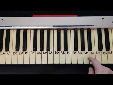 Ankaranın bağları org melodi