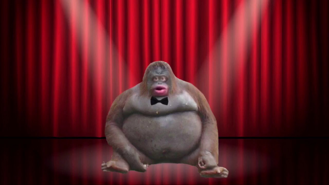 LE MONKE: THE MUSICAL - YouTube
