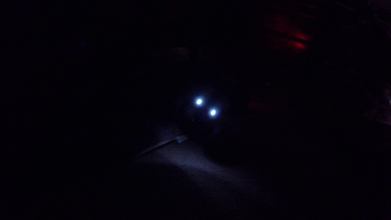 Redcat Danchee Ridgerock lights in the dark - YouTube