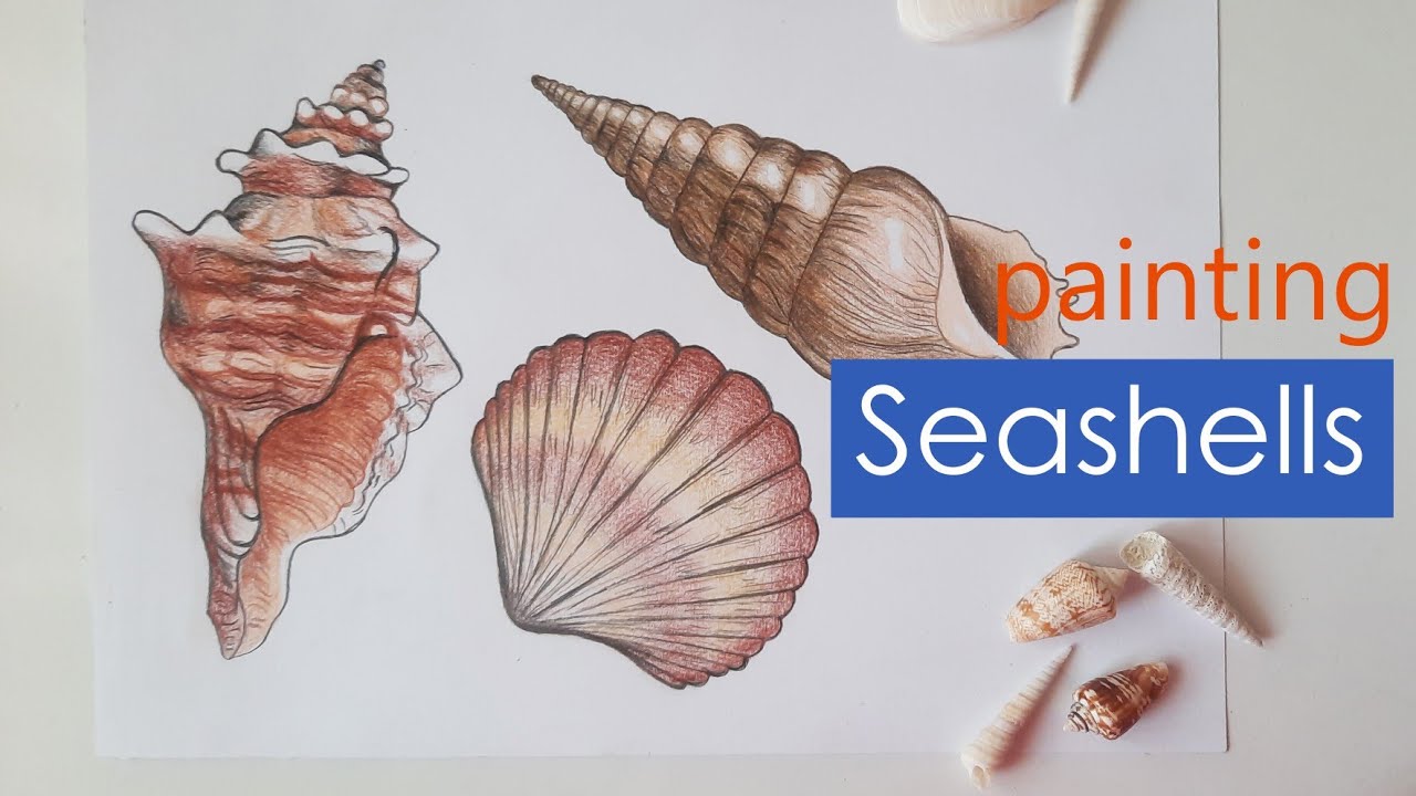 Painting seashells / Color pencils painting / Easy & Simple Drawing For ...