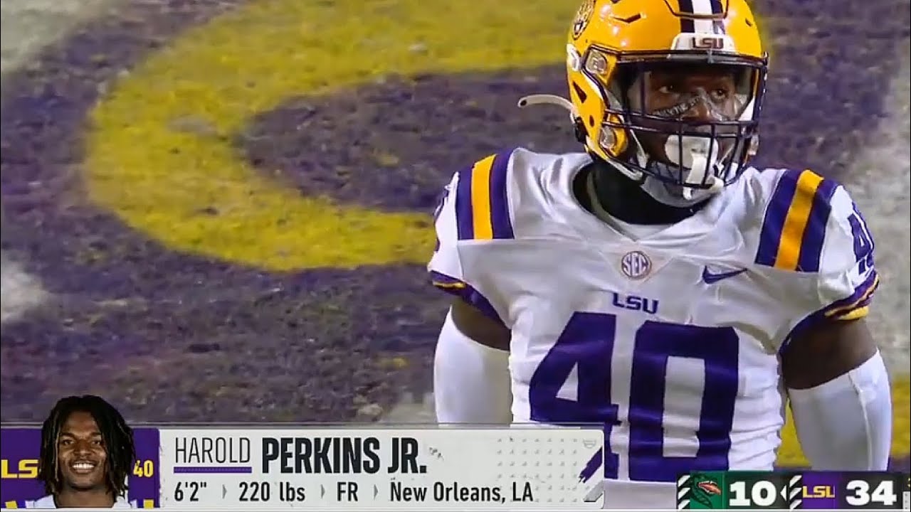 LSU LB Harold Perkins Freshman Highlights - YouTube