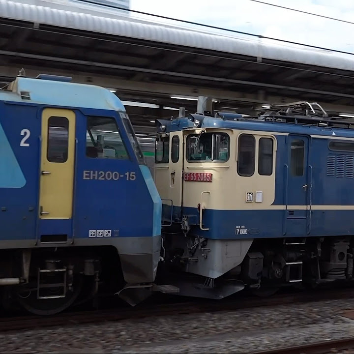 8764レ〜EH200-15＋EF65 2085ムド〜響くインバータ音／2025.1.21 - YouTube