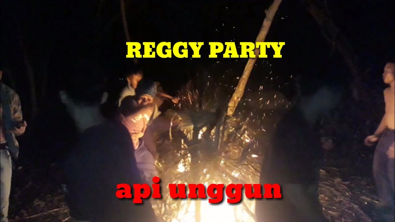 PARTY API UNGGUN . (JOGET REGGAE) - YouTube