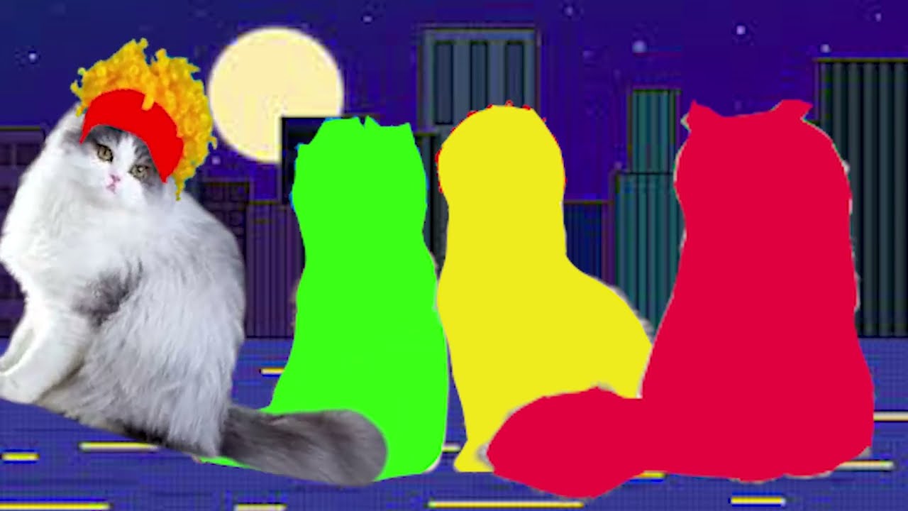Cute Cat Dance My Name Is Chicky Cha Cha Boom Boom Lya Lya - D Billions ...
