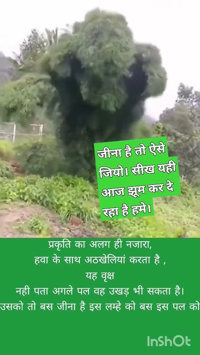 Motivation शॉर्ट्स Viralvideo यूट्यूब Youtube
