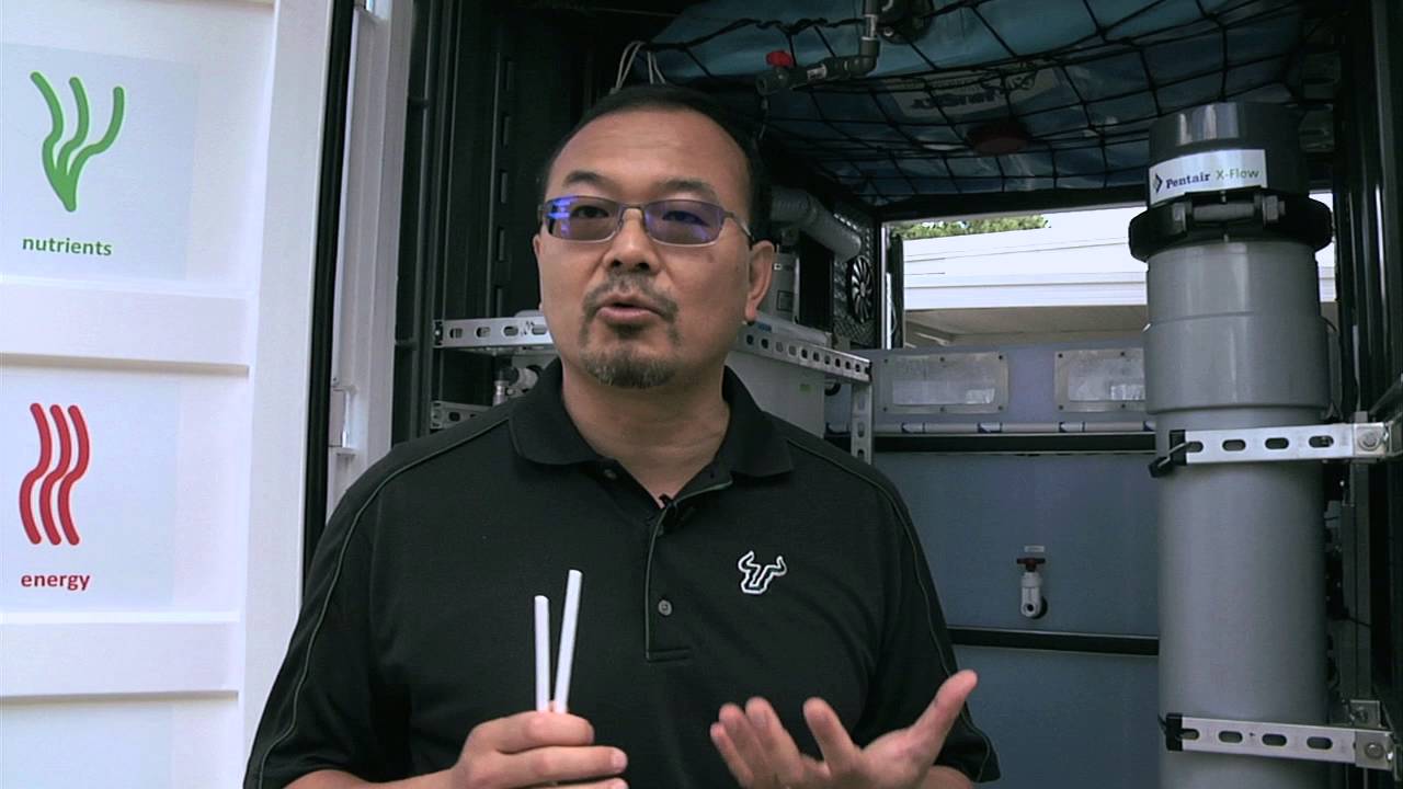 USF's Dr. Daniel Yeh Talks About the NEWgenerator - YouTube