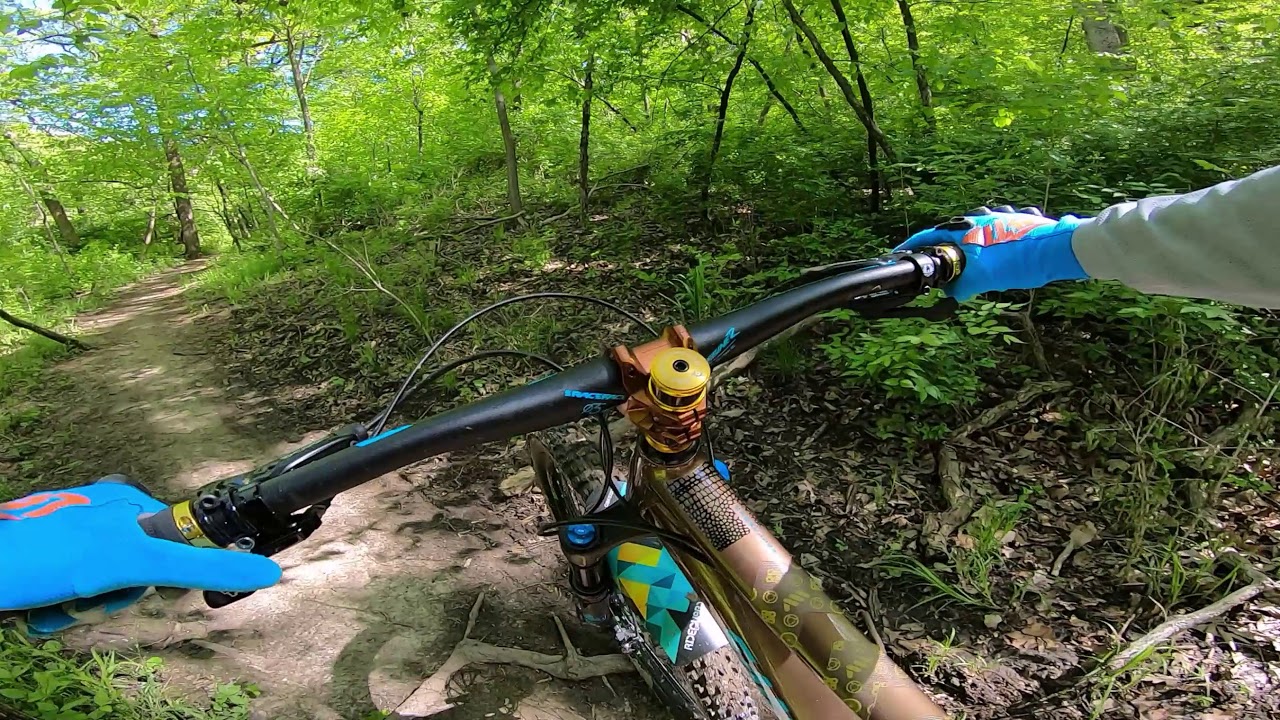 Exploring Swope Woodchuck with King - YouTube