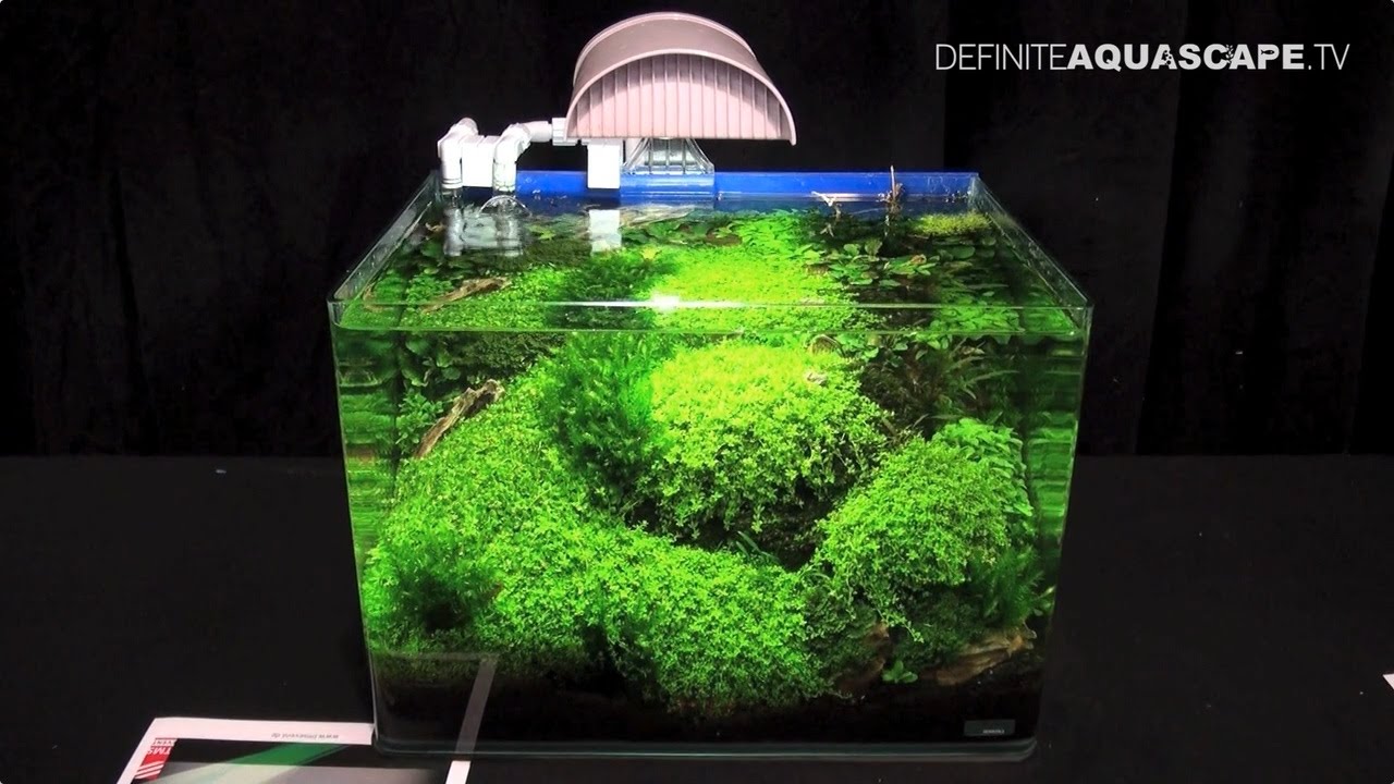 The Art of the Planted Aquarium 2015 - Scaper's Tank (Nano) category ...
