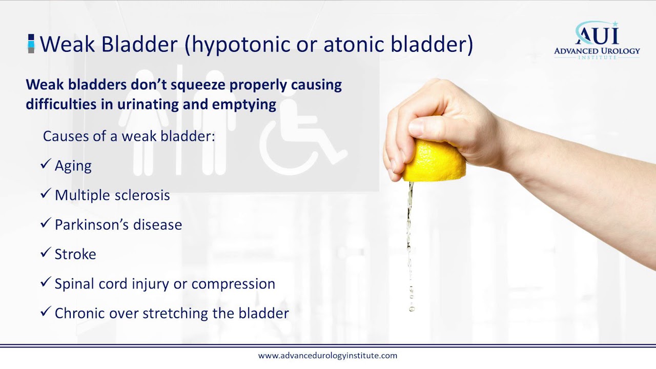 What Causes a Weak Bladder - J. Nicole Eisenbrown, MD - YouTube