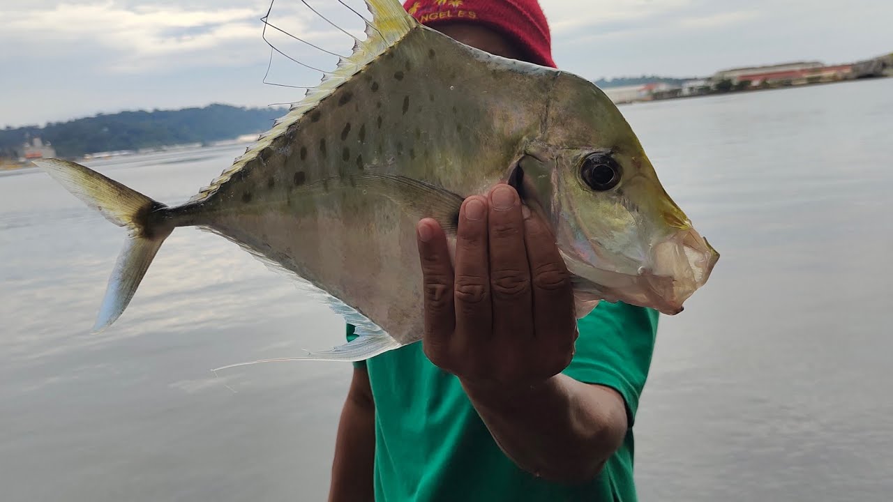 MANUAL FISHING CATCH BIG FISH 🐟 - YouTube