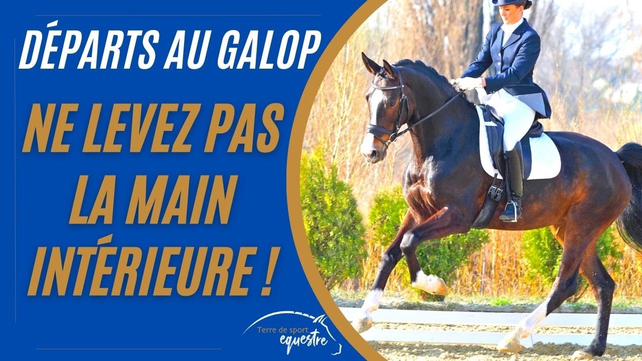 Position départ au galop : les mains du cavalier - YouTube
