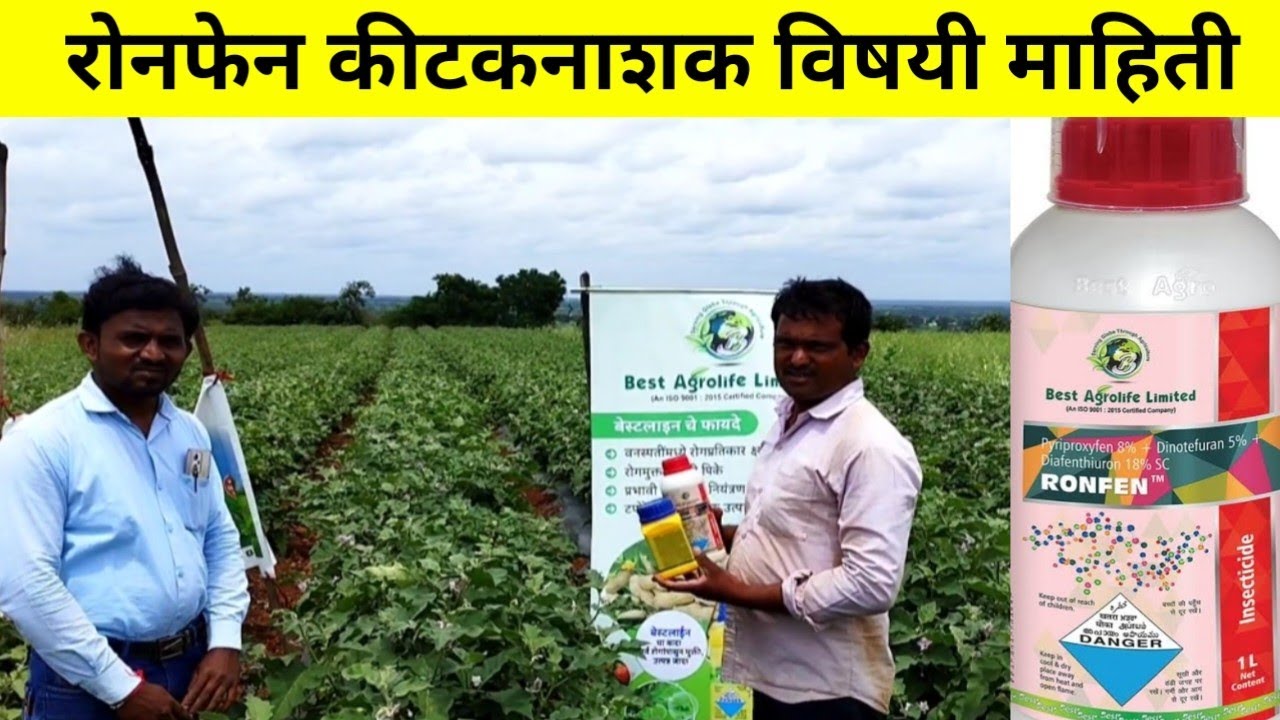 Ronfen best agro life |Ronfen insecticide | रोनफेन किटकनाशक | थ्रिप्स ...