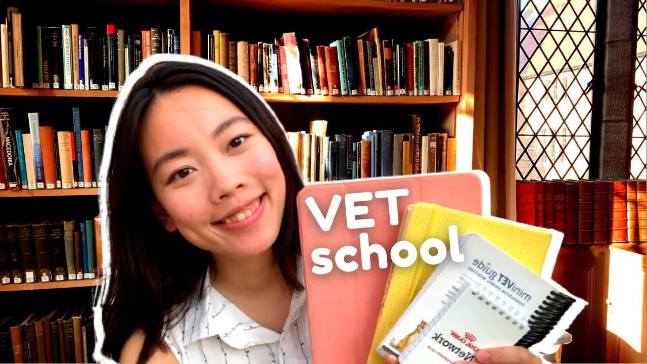What every vet student NEEDS for vet school - YouTube