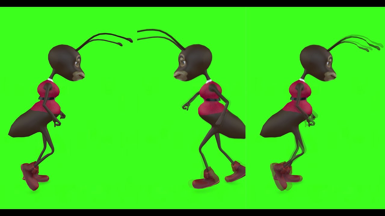 ANT #3 || GREEN SCREEN || 4k || ANIMATION || FREE 3D - YouTube