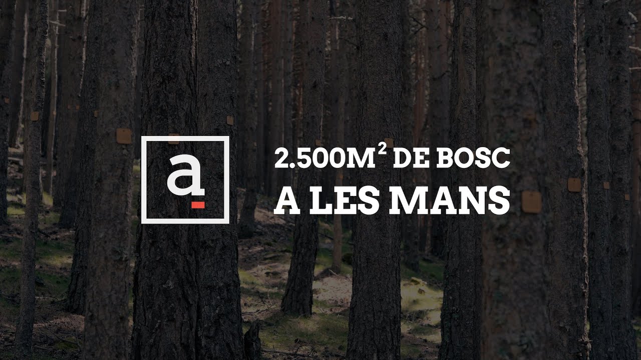 Reportatge: 2.500m² de bosc a les mans - YouTube
