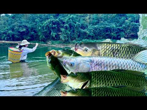 Traditional fishing technique - a girl uses bamboo to catch giant fish in floodwaters