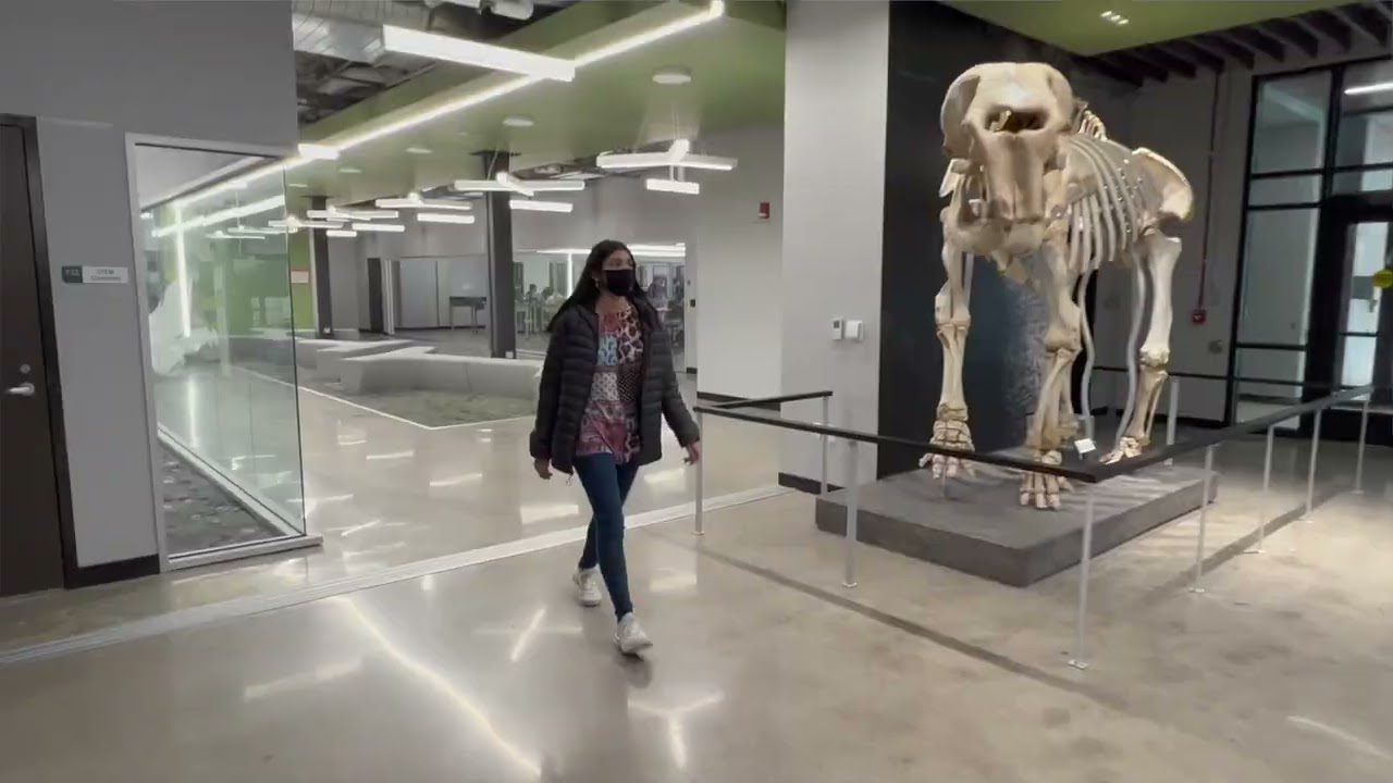 STEM Building LEED Gold certification - Facilities, Planning and ...