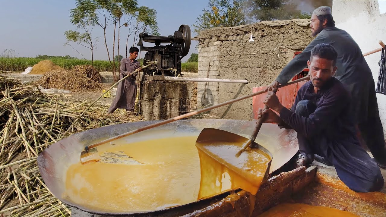 Gurr Making | Jaggery Making Process from Sugarcane | Village Life in ...