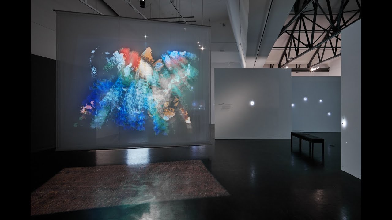 Camille Utterback – Entangled - YouTube