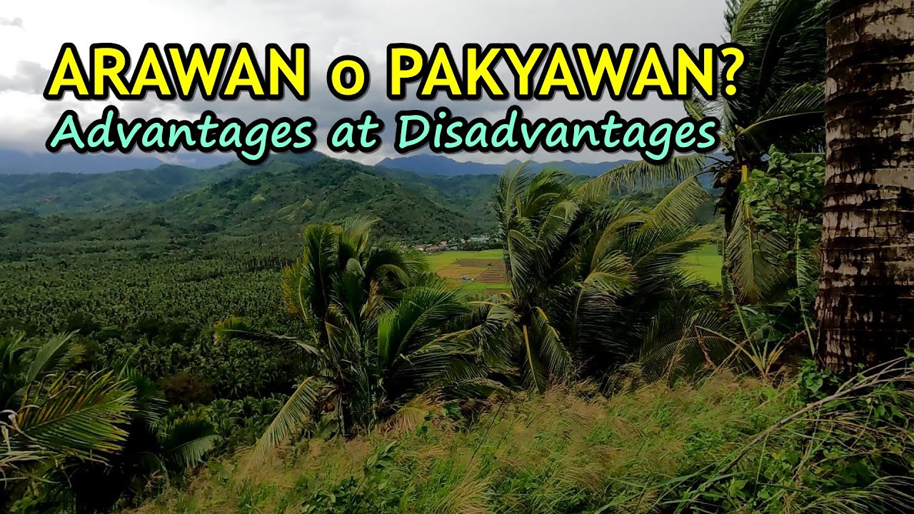 Arawan o Pakyawan: Advantages at Disadvantages - YouTube