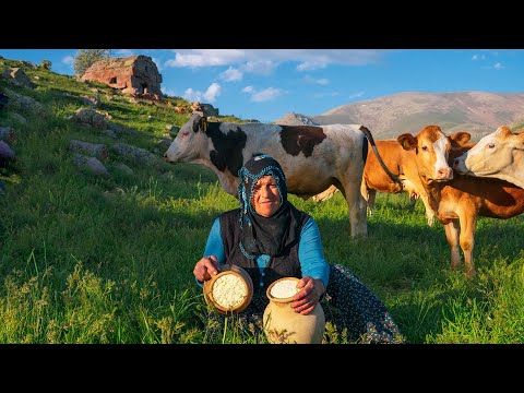 Aylarca Toprakta Gömülen Peynir Çömlekleri- Dağda Peynir Yapımı
