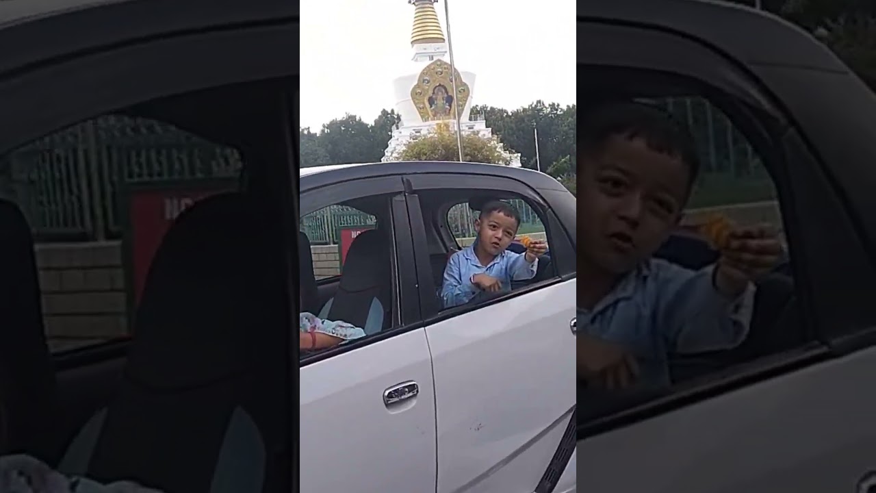 vashu ananjay ghumi ghumi #viralshortvedio - YouTube