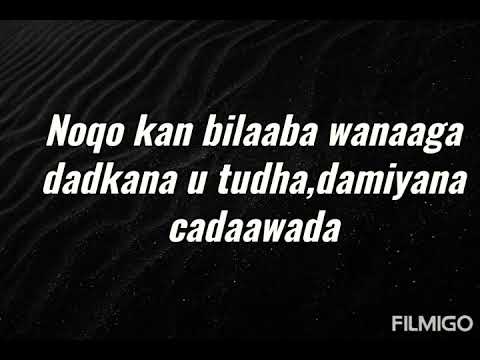 xikmada maanta #14