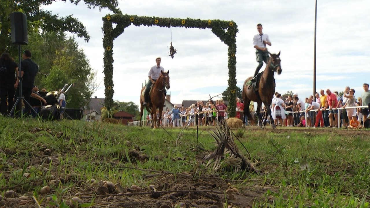 Hahnrupfen - sorbischer Brauch mit Vorbereitung. - YouTube