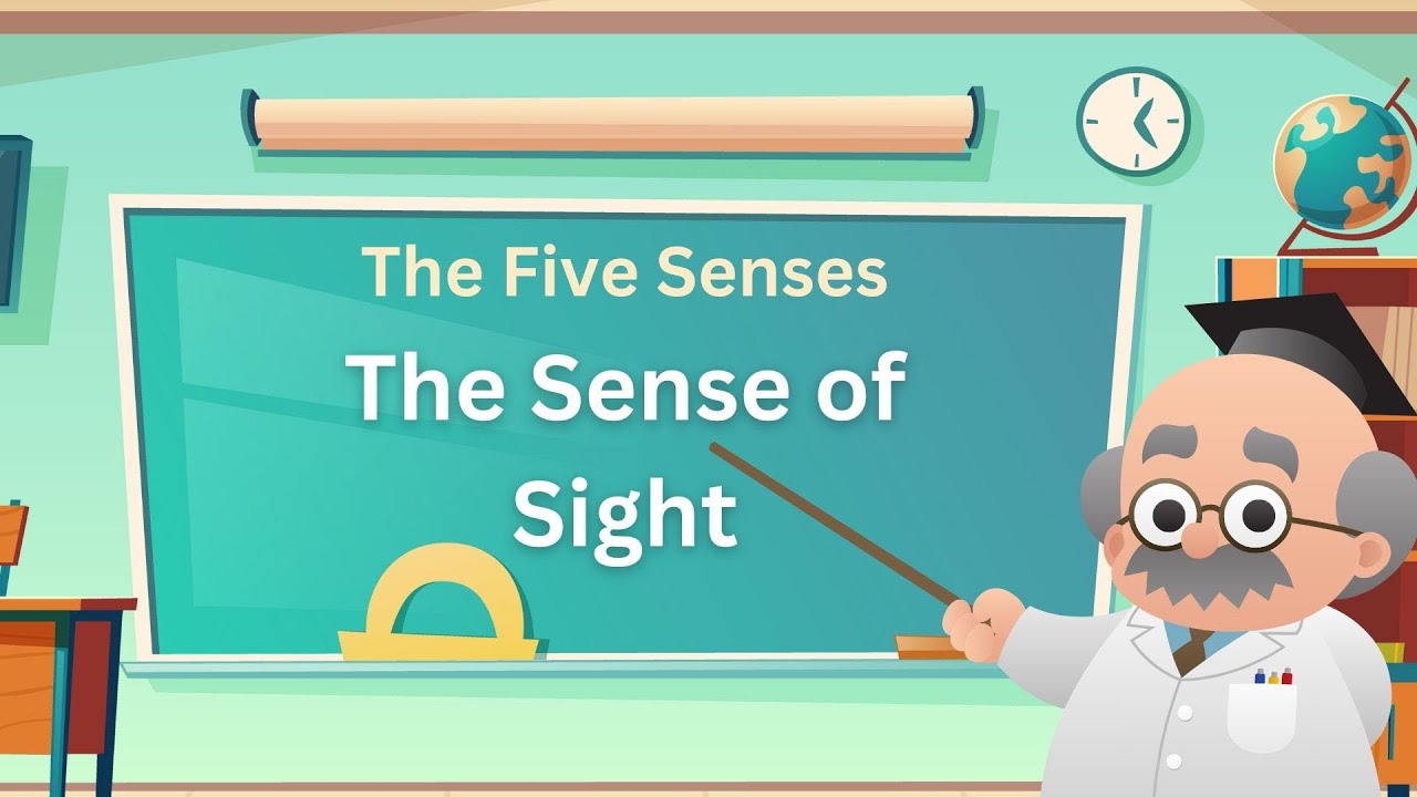 Your Sense of SIGHT Children's Education Videos For Kids - The Five ...