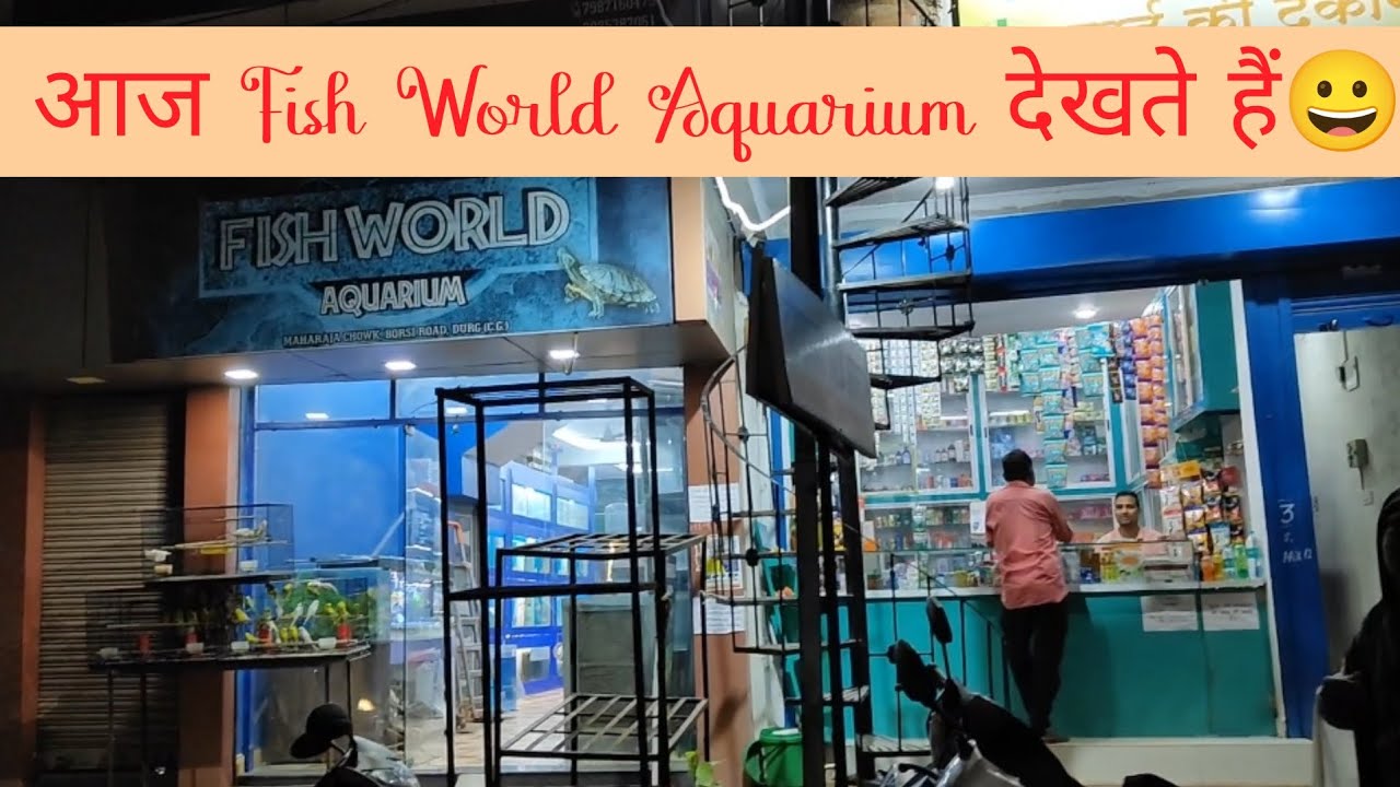 आज Fish World Aquarium dekhte हैं | Ak vlogs official317 | Fish World ...