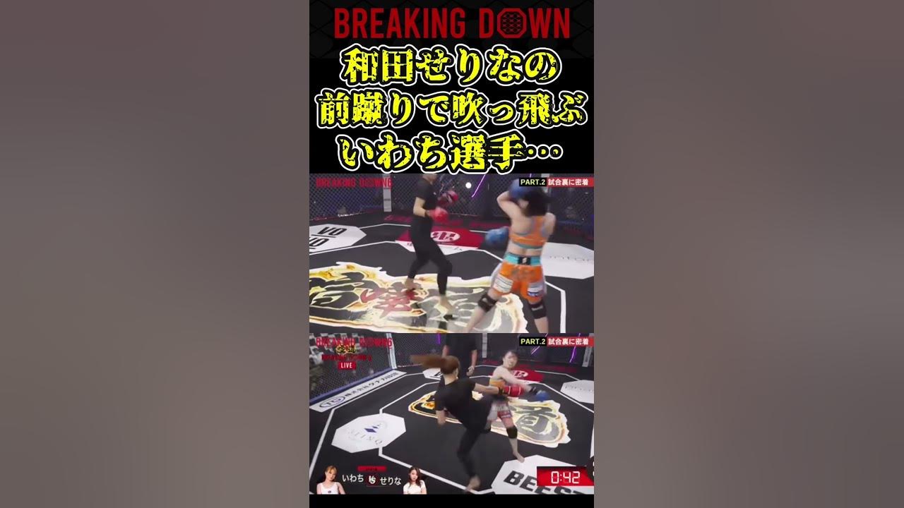 和田せりなの前蹴りで吹っ飛ぶいわち選手…【ブレイキングダウン7 ブレイキングダウン Breakingdown】 Shorts Youtube