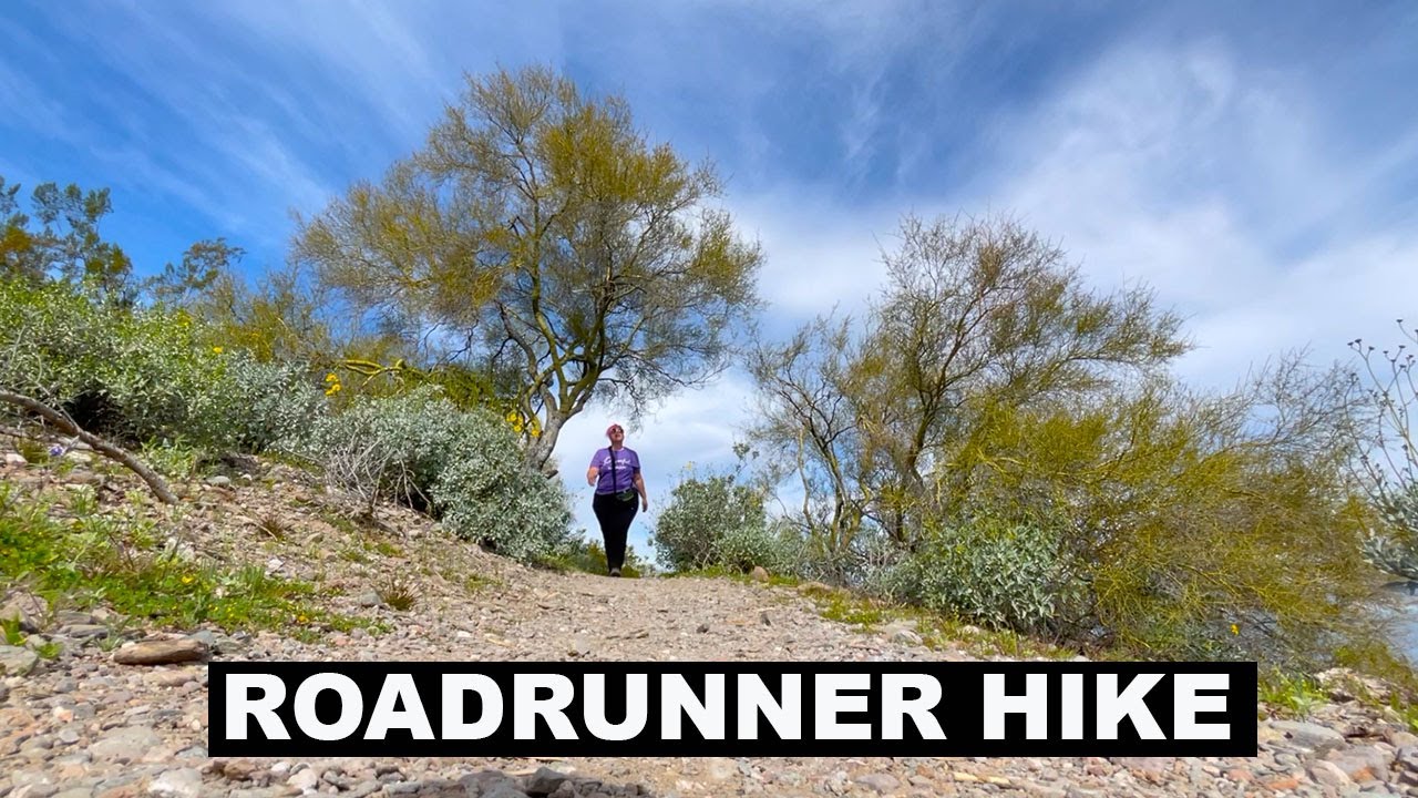 Roadrunner Trail | Lake Pleasant | Easy Hikes Around Phoenix - YouTube