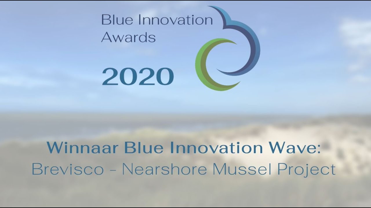 Blue Innovation Awards 2020 - Brevisco - YouTube