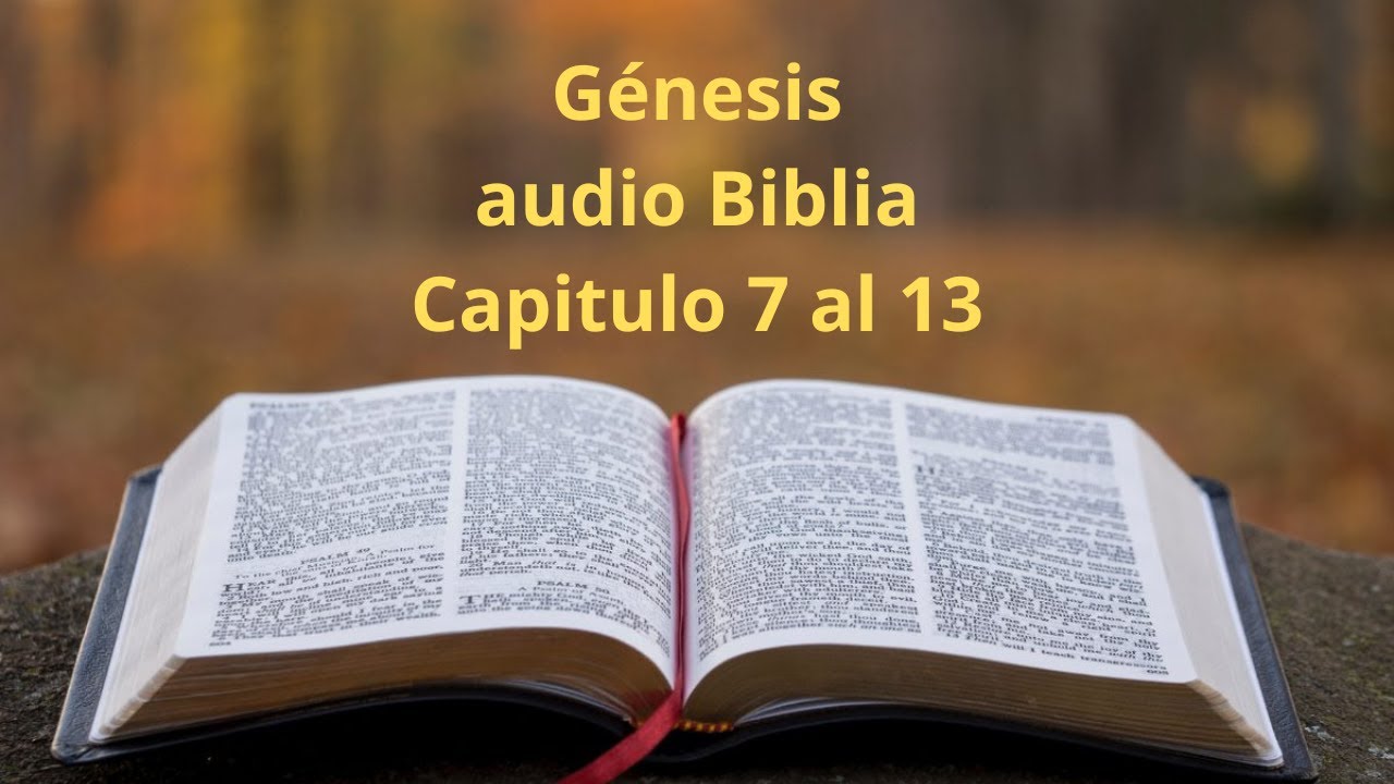 Leyendo la biblia de inicio a fin (Genesis capítulo 7 al 13) Parte #2 ...