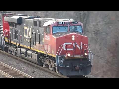 Canadian National train (CN 2264, CN 8877) intermodal, autoracks at Bayview Junction - YouTube