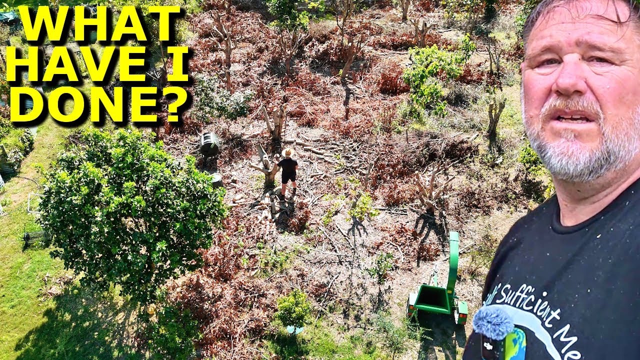 Farming - Self Sufficient Me