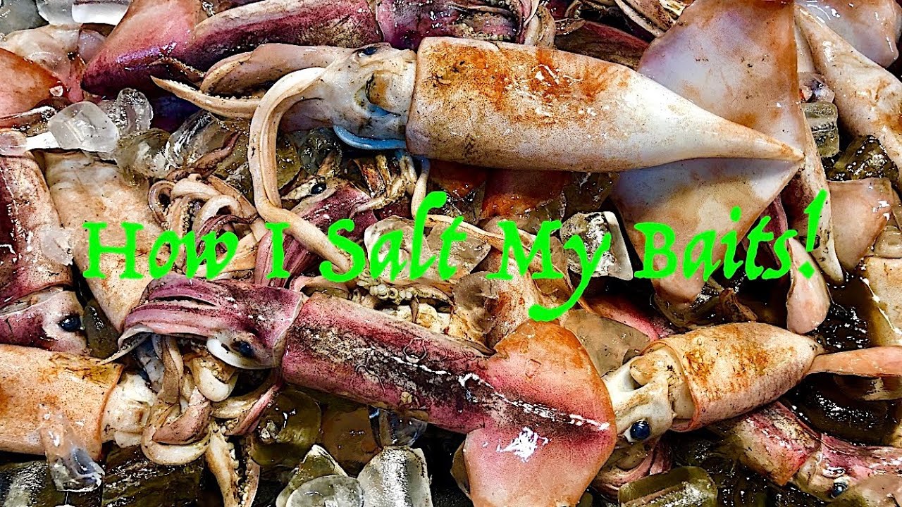 Rock Salting Bait! Why & How? - YouTube