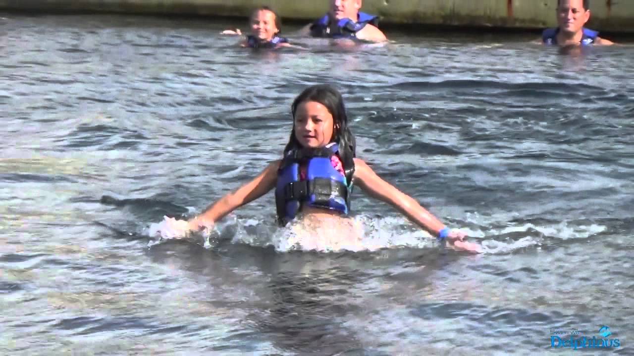 Dolphin Swim in Xcaret via Primax @ Delphinus - YouTube