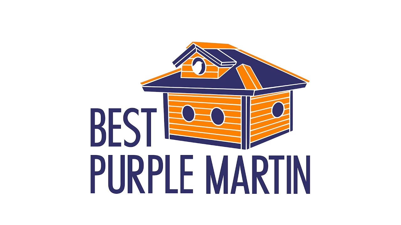 Best Purple Martin Products – Create the Perfect Bird Haven - YouTube