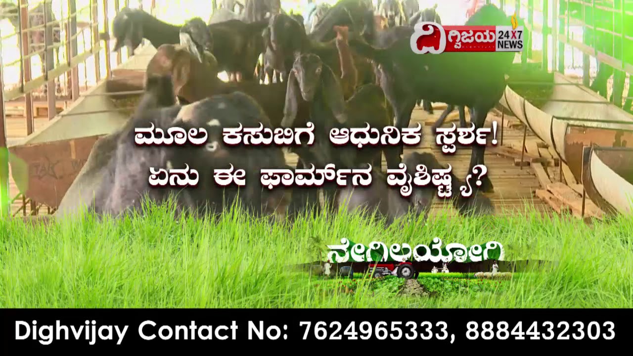 Sanjana goat form - YouTube